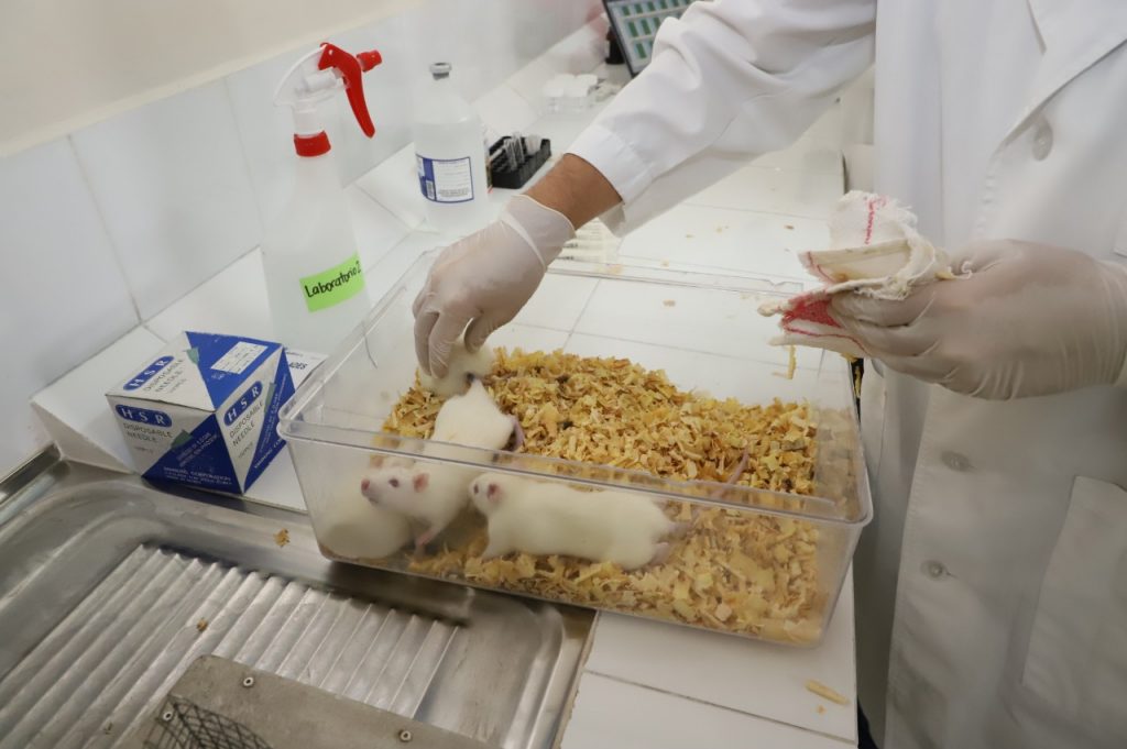 Así funciona el bioterio de la USAC | Soy USAC